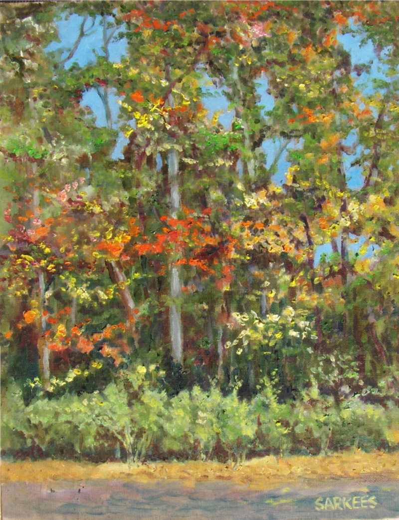 Sarkees Paintings - LANDSCAPES IV